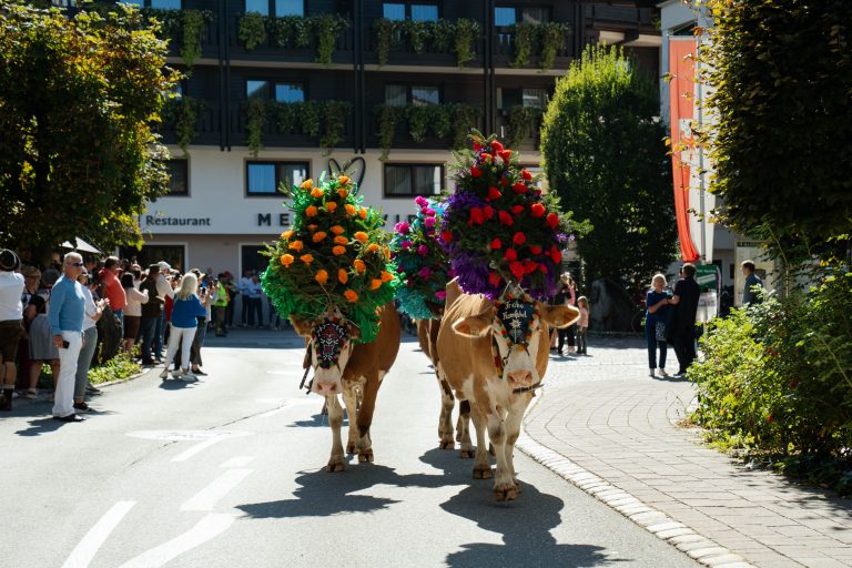 Brixental eröffnet die Herbstsaison mit traditionellen Almabtrieben ...