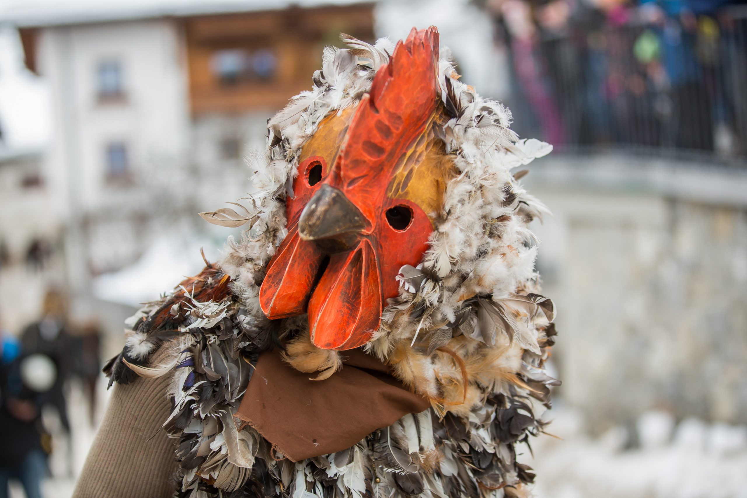 Fisser Blochziehen 2026 - Presse.Tirol